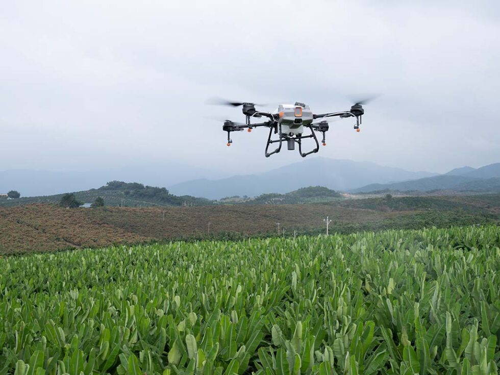 Agrihawk Precision Aerial Crop Science | Drone spraying & surveys