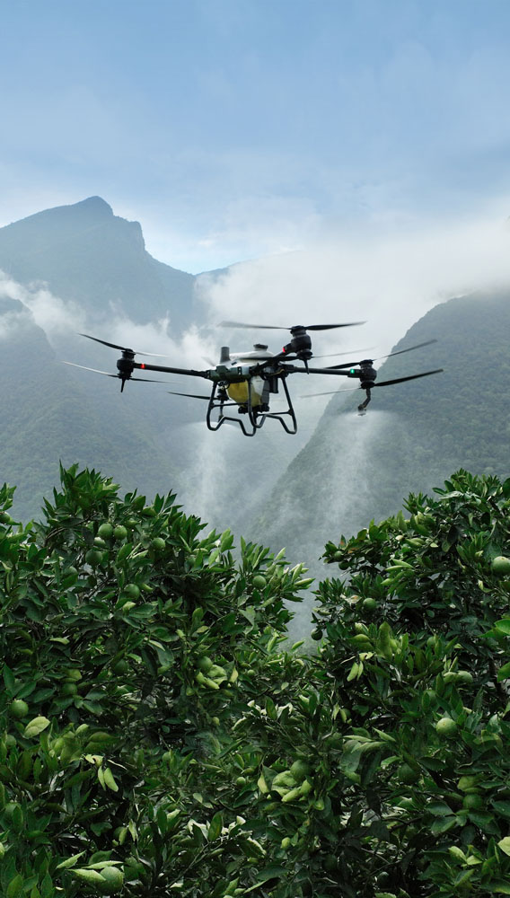 Agrihawk Precision Aerial Crop Science | Drone spraying & surveys